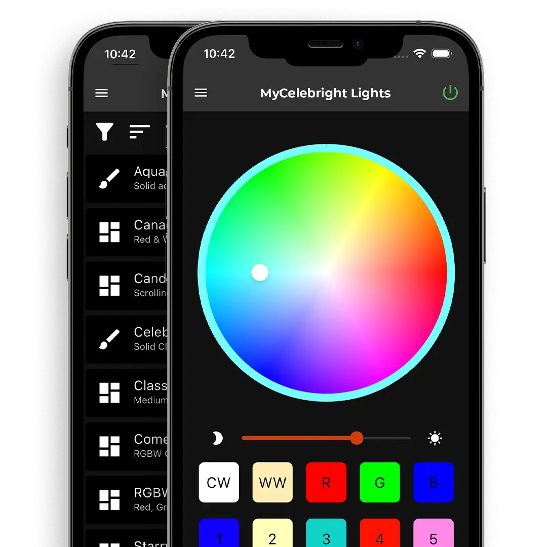 Celebright | Permanent Holiday Lighting